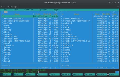Mengenal Midnight Commander File Manager Mr Agus