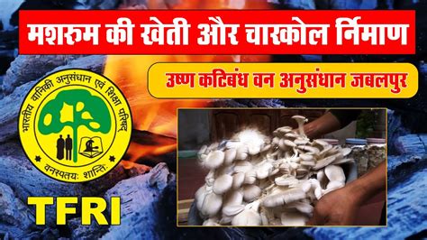 Charcoland Mashroom Youtube