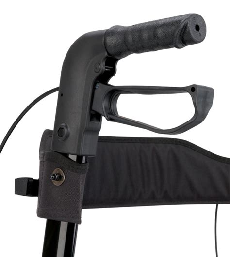 Capero 2024 Platin 18 557x624 Bischoff And Bischoff