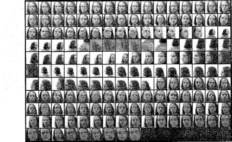 Figure 2 From Towards Unconstrained Face Recognition From Image Sequences Semantic Scholar