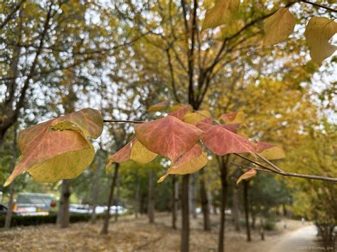 Openprocess Process32first Getexitcodeprocess Windows Api 第二弹 非通信方式的子进程获取父进程信息 Csdn博客