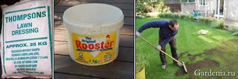 Английский газон