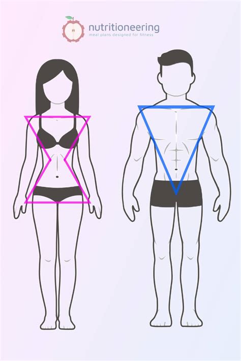 The Relative Size Of 40 Inch Hips For Ideal Body Shape