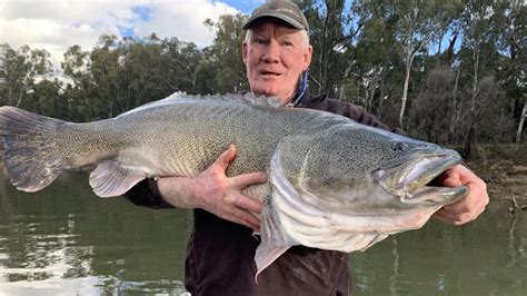 Bayer Reeling In Rural Mental Health Bayer Australianew Zealand