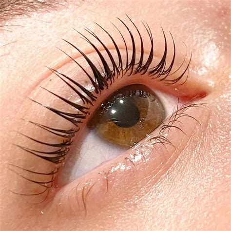 Korean Lash Lift Basic Bundle Aura Monaco Korean Lash Lift