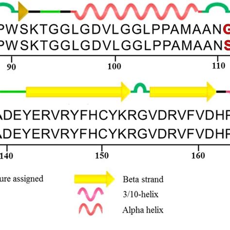 Protein Sequence Alignment And Structural Analysis Numbers Show