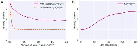 Saltation Allows Highly Transmissible Variants To Evolve By