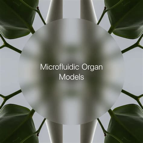 Microfluidic Organ Models → Term