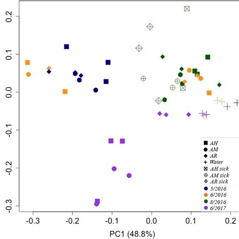 Distribution Of Microbial Samples That Live With Coral Download