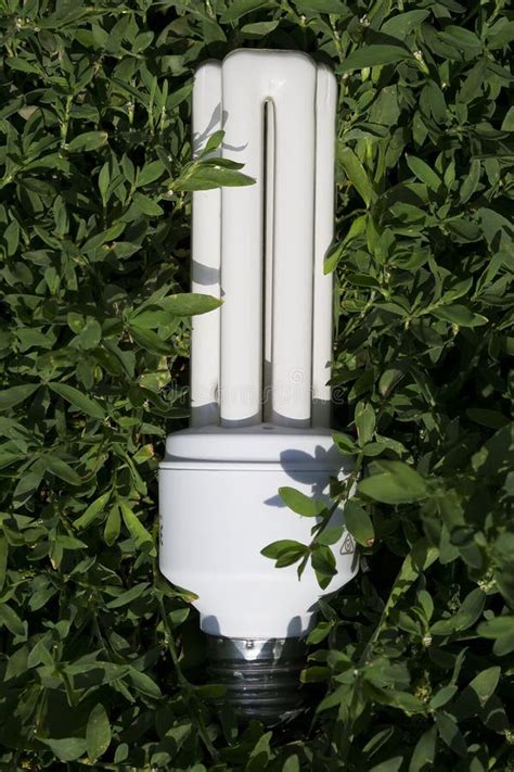 Ecobulb Stock Image Image Of Electricity Idea Watt 26618947