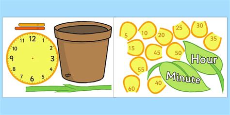 Large Flower Clock Display Cut Outs Teacher Made Twinkl