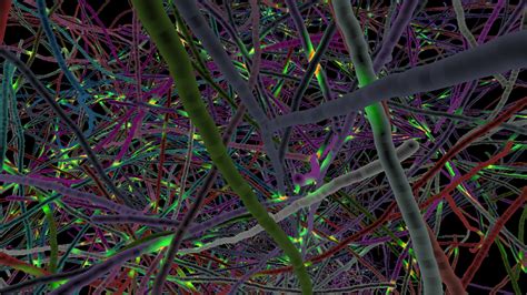 Using Intels Xeon Phi For Brain Research Visualization Top500