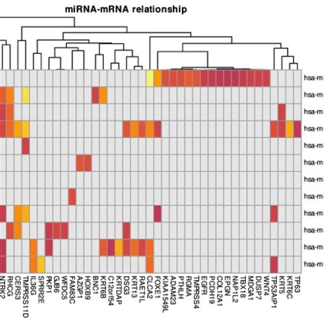 High Keratinization Vs Low Keratinization Groups Heatmap Of All