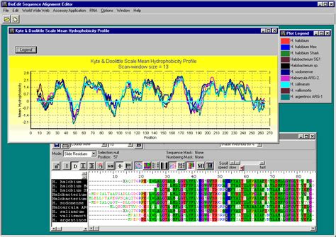 Bioedit Alignment Tutorial Amazingreter