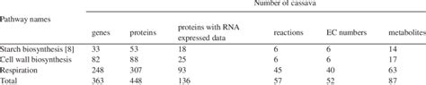 Characteristics Of The Reconstructed Pathways In Cassava Describing The