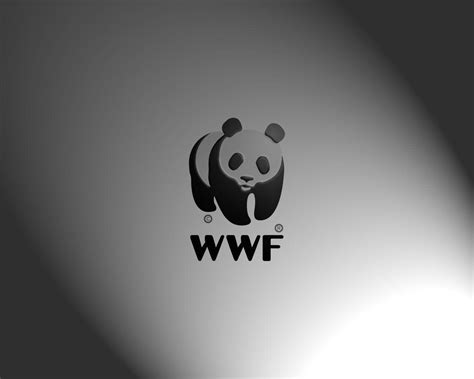 Wwf Wallpapers Wallpaper Cave