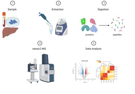 Mass Spectrometry And Proteomics Core Research Facilities