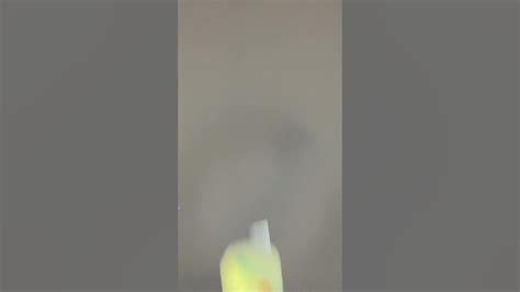 Raining Taco Youtube