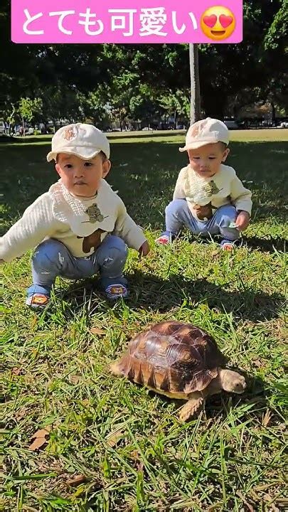 小p🐢遇到好可愛的雙胞胎兄弟😍😍😍~とても可愛い💕💕💕 Youtube