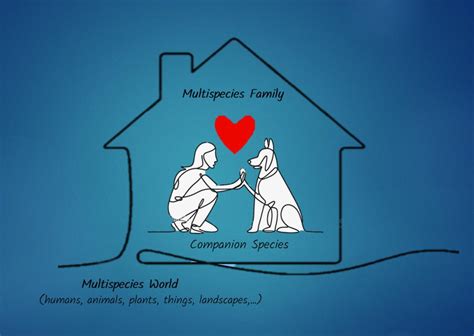 Niloofar Solhjoo On Linkedin The Emotional And Informational Lives Of More Than Humans