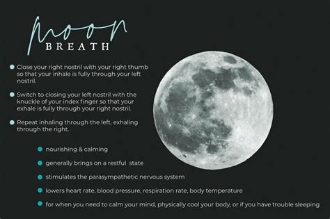 Holistic Living With Brien Anne Bac Massage Therapy