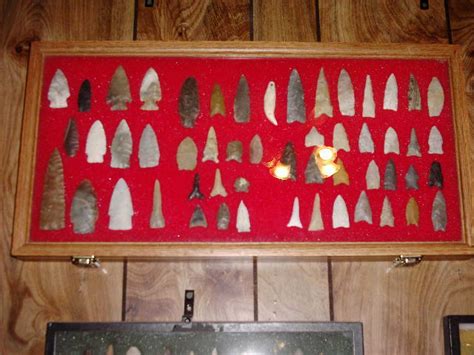 Paleo Points
