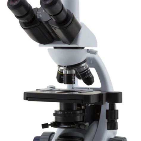 Jual Optik B 293 Microscope Trinokular 1000x Perbesaran Kota Bekasi Gabrielgaol Tokopedia