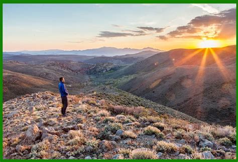 Application Examples Of The Code 49 Barcode