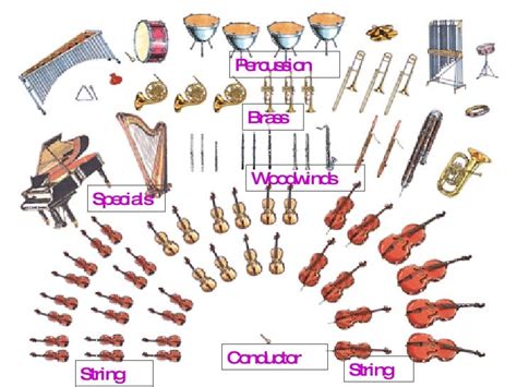 Main Woodwind Instruments In An Orchestra At Matilda Fraser Blog