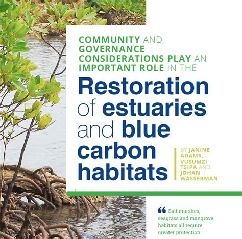 Johan Wasserman Wassermanjohan Twitter