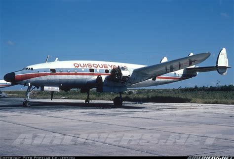 Lockheed L 049 Constellation Aerovias Quisqueyana Aviation Photo