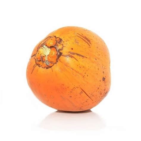 A Grade Solid Orange Tender Coconut Coconut Size Medium At ₹ 30 Kg In