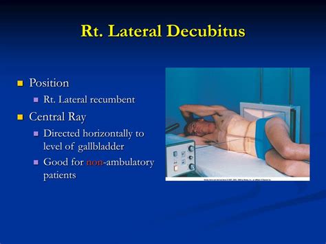 Ppt Digestive System Liver And Biliary Tract Powerpoint Presentation