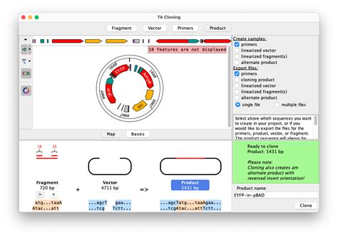 Ta Cloning In Codoncode Aligner Virtual Cloning Tools For Efficient Ta Ligation
