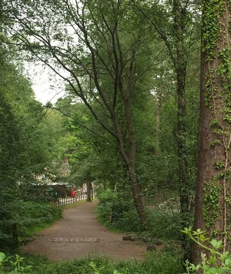 Outdoor Activity Centre Longleat Forest © Derek Harper Cc By Sa20