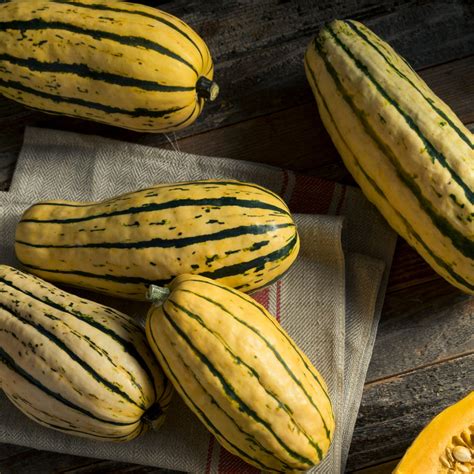 20 Different Types Of Squash For The Winter And Summer
