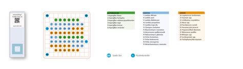 Visionarray® Zytomed Systems