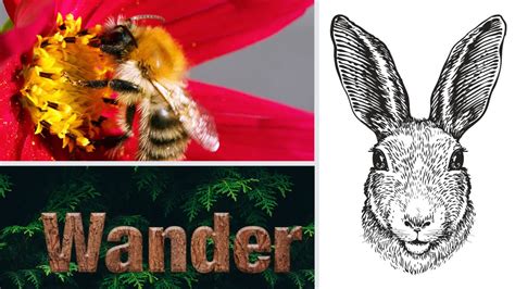 Study To Become An Adobe Certified Associate In Photoshop Photoshop