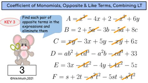 Coefficients Of Monomialsopposite And Like Terms Combining Like Terms