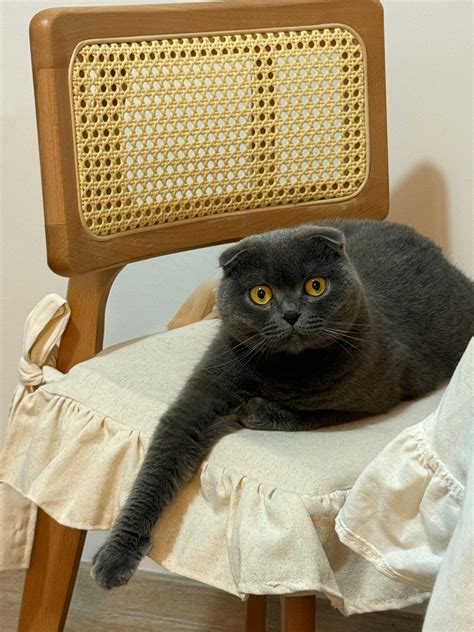 Cutecameltoe Photos Download The Best Free Cutecameltoe Stock