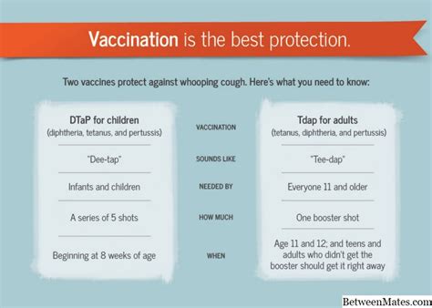 Tdap和dtap 健康 2026