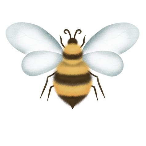 Cute Bumblebee Illustration 23254512 Png
