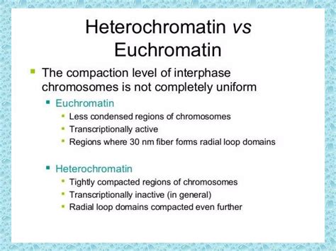 Cot Curve Analysis For Gene And Genome Complexity Ppt