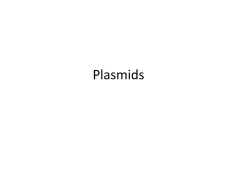 Plasmid Pptx