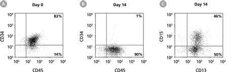 Stemspan™ Hematopoietic Stem Cell Media And Supplements