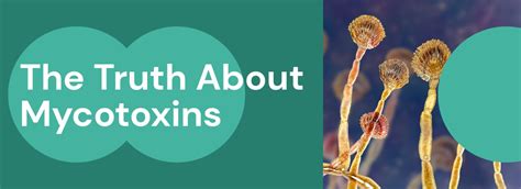 Webinar The Truth About Mycotoxins