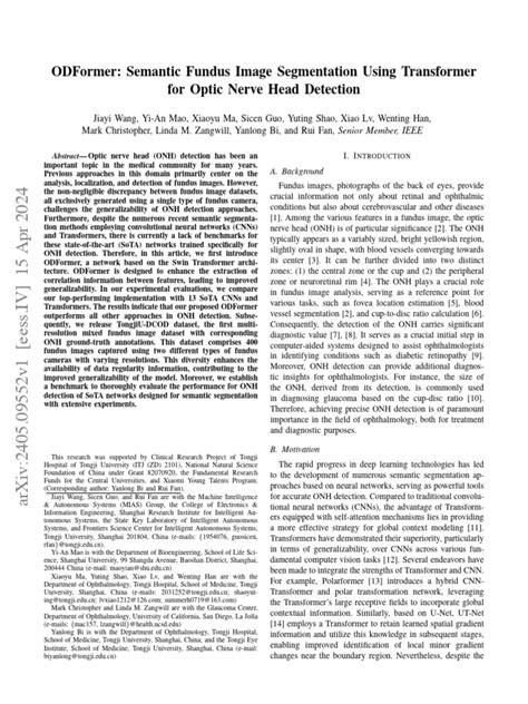odformer semantic fundus image segmentation using transformer for