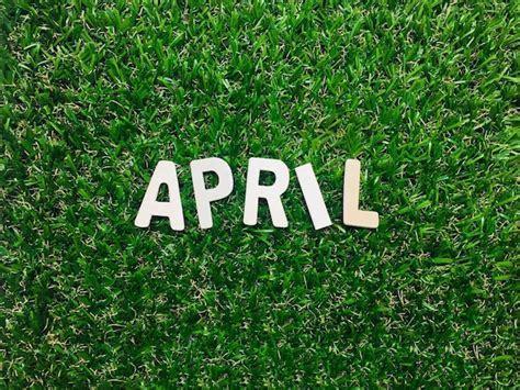 Premium Photo High Angle View Of Text On Grass