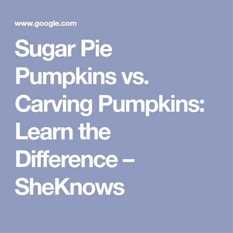 Sugar Pie Pumpkins Vs Carving Pumpkins Know The Difference