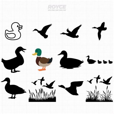 Duck Svg Etsy